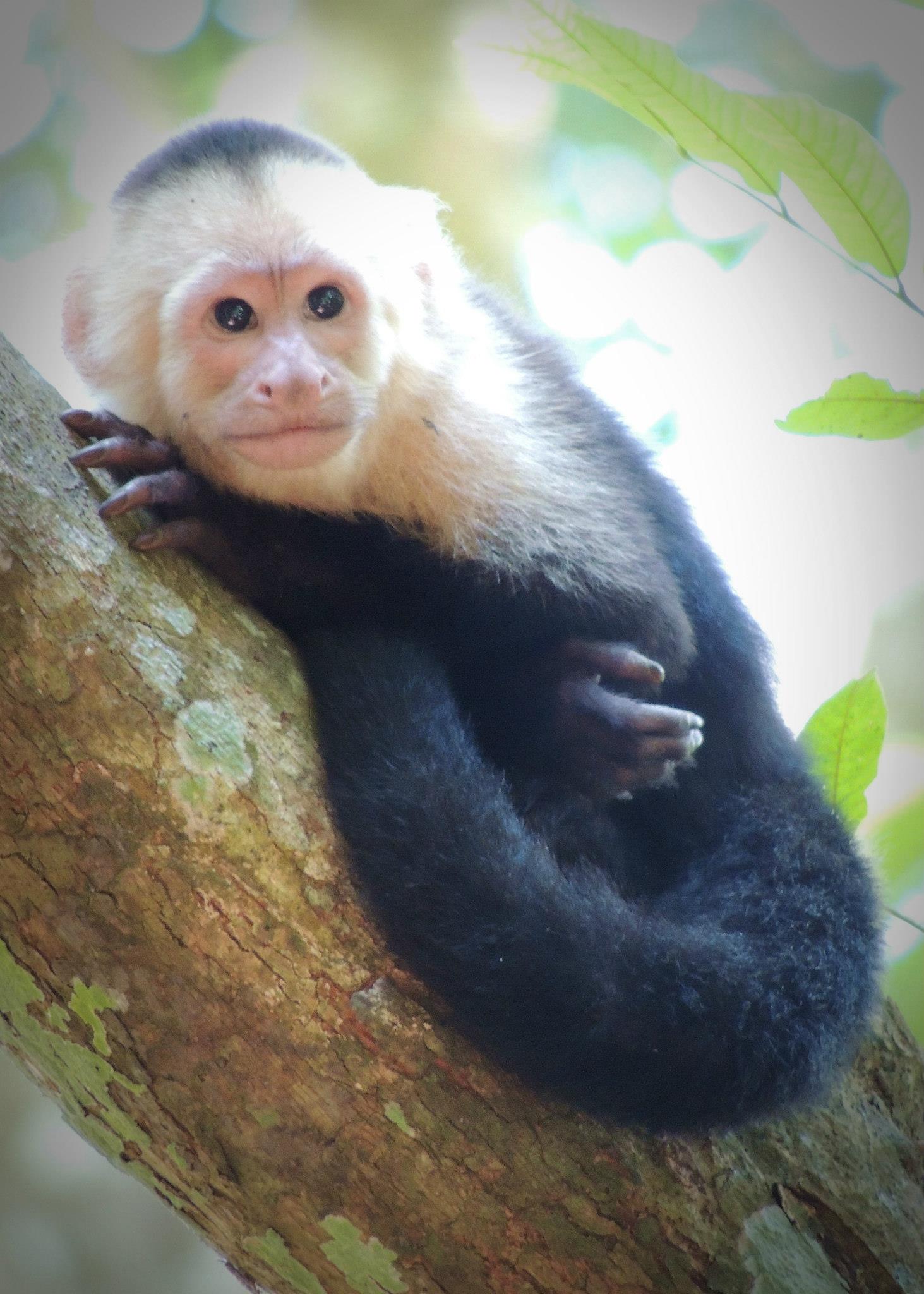 Adorable Critters – Nature's Glory Photos